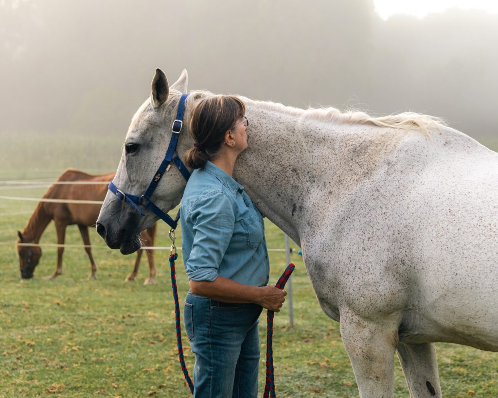 The Healing Power of Horses - Raindrum